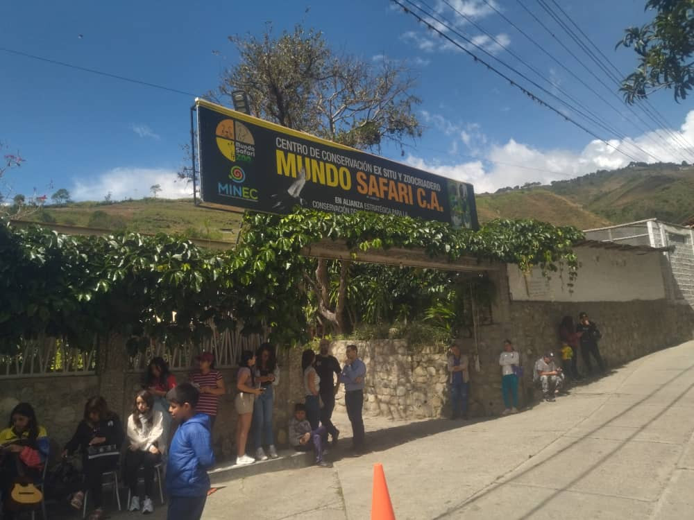 Diario Frontera - Mundo Safari celebra su primer aniversario con éxitos ...